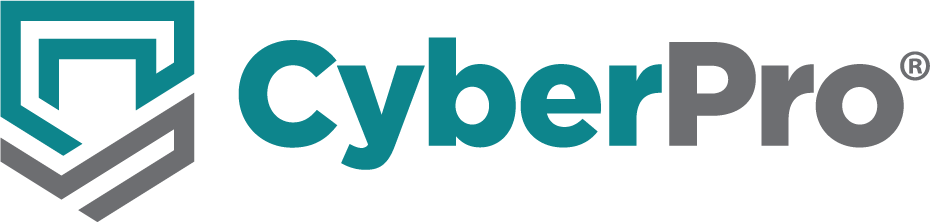 Cybersecurity Consulting for Small Businesses & Agencies | CyberPro